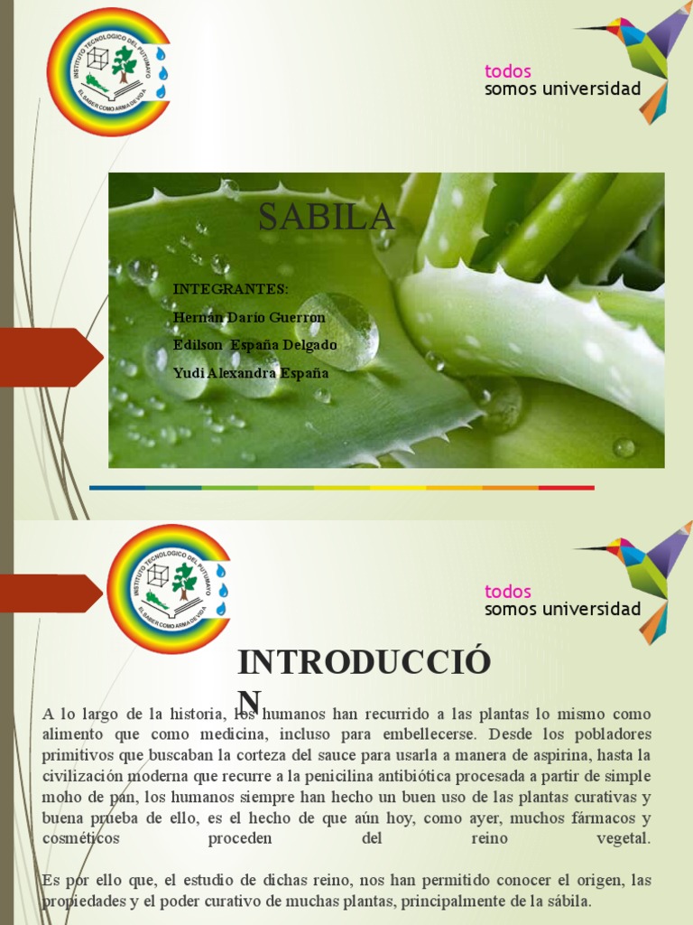 La Sabiloe | PDF | Plantas | Medicina
