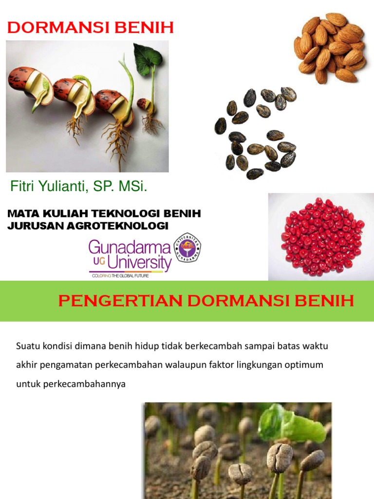 Dormansi Benih PDF | PDF