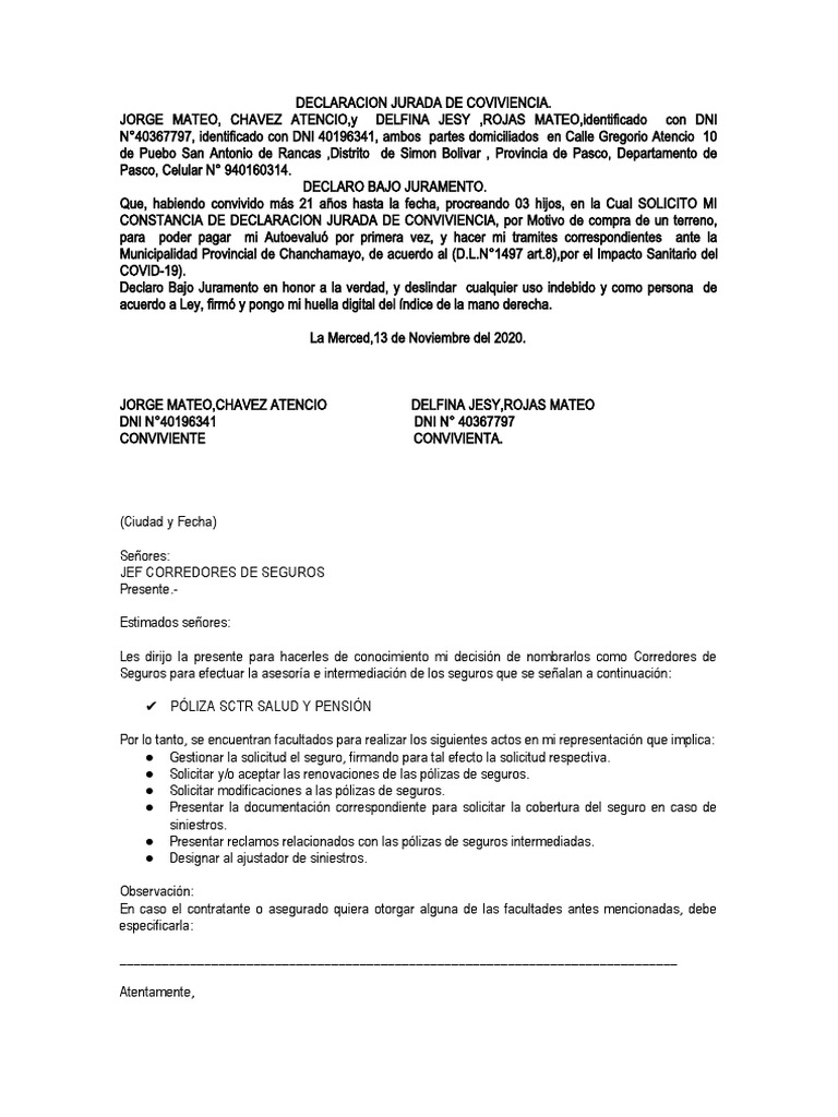 Modelo Carta Nombramiento - SCTR | PDF