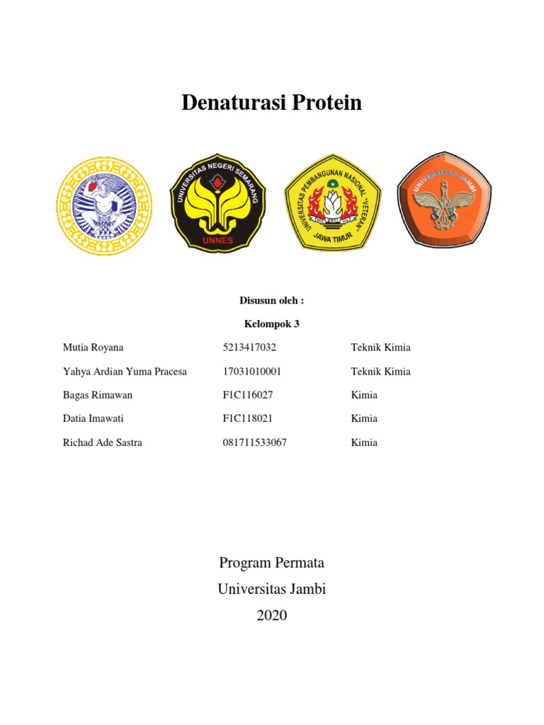 Denaturasi Protein | PDF