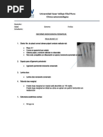 Canino Temporal Superior | PDF | Anatomia dental | Diente