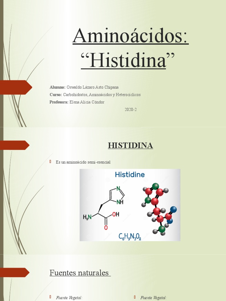 Exposicion de Histidina | PDF