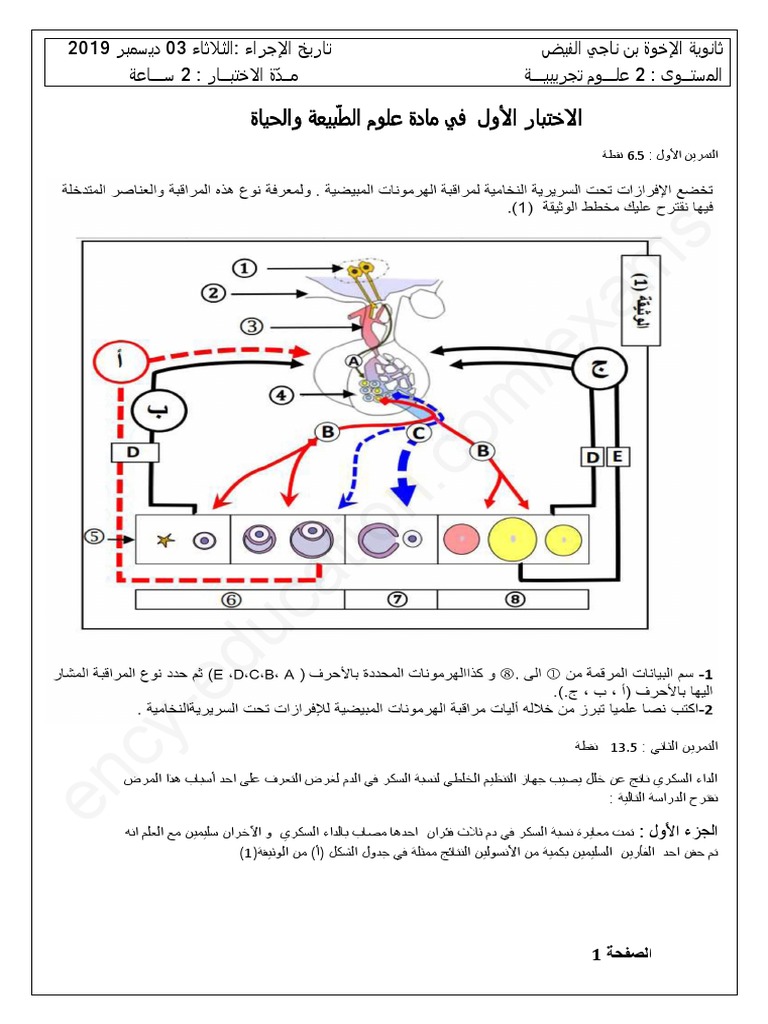 2as Sciences Compo t1 3 PDF | PDF