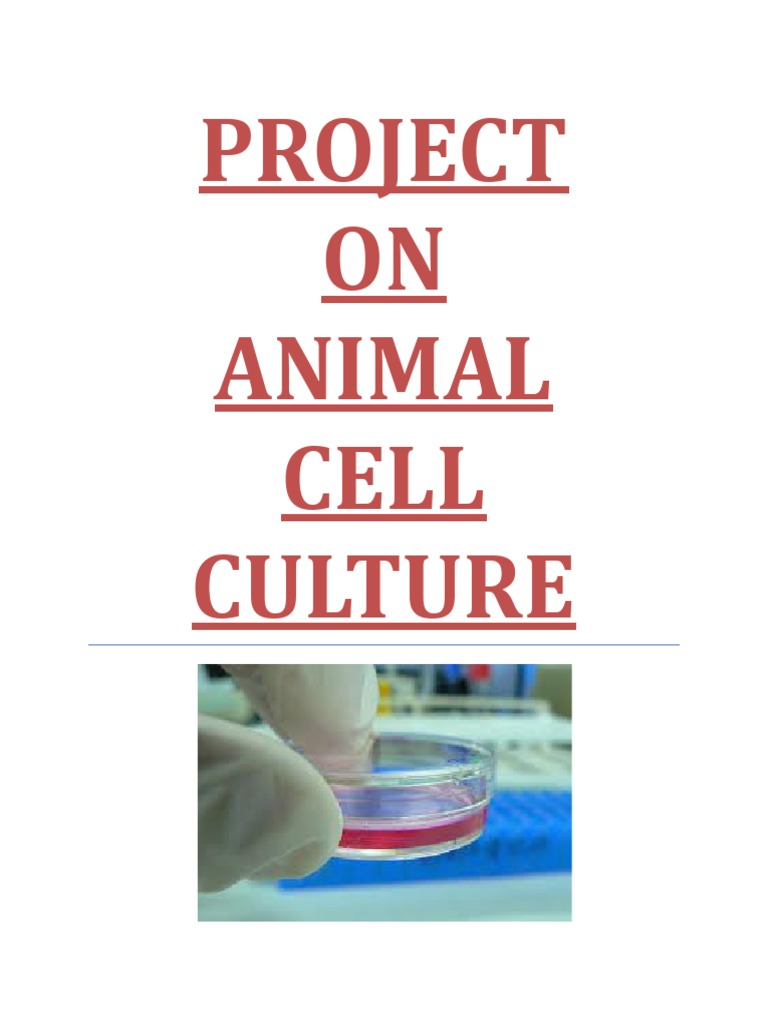 PROJECT | PDF | Cell Culture | Vaccines