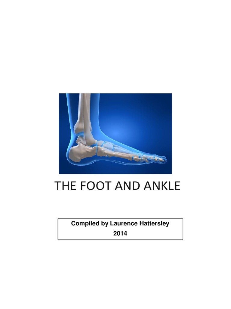 Foot and Ankle | PDF | Foot | Ankle