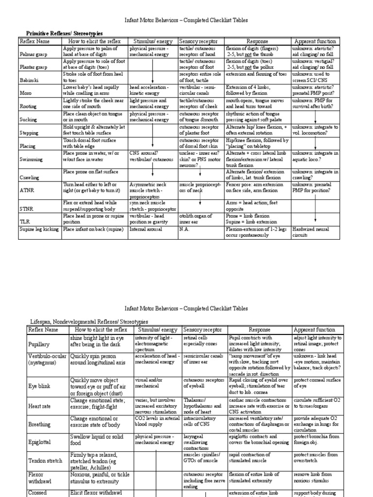 Primitive Reflexes/ Stereotypies: Infant Motor Behaviors - Completed ...