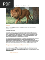 Infografia Del Zorro | PDF