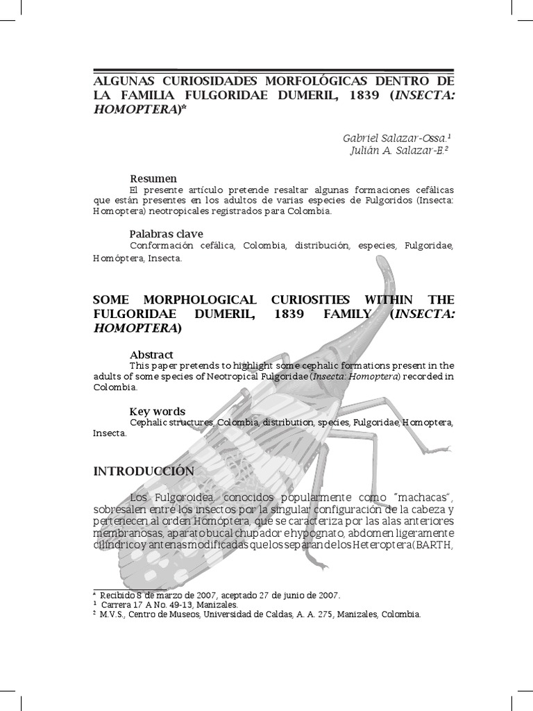 Machaca | PDF | Insectos | Organismos