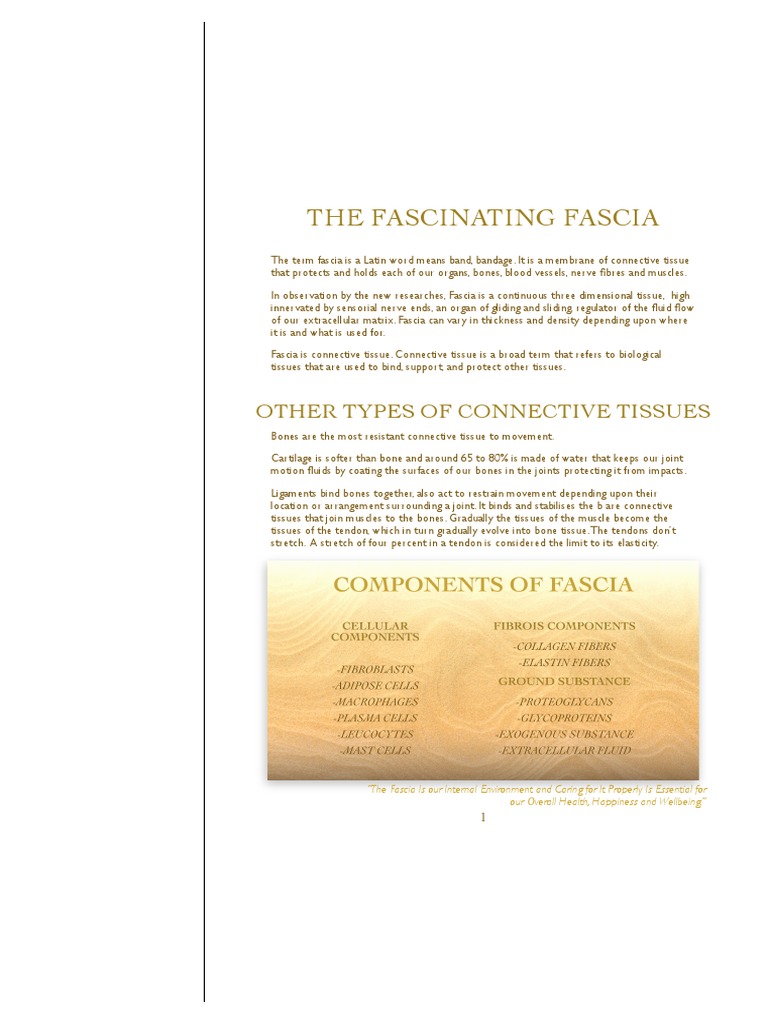 Fascia and Fascia Lines PDF | PDF | Tissue (Biology) | Anatomical Terms ...