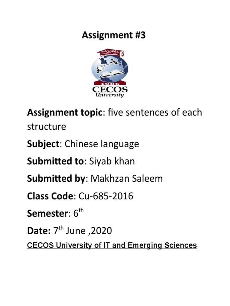 Chinese Language Assignment No 3 | PDF | China | World Politics