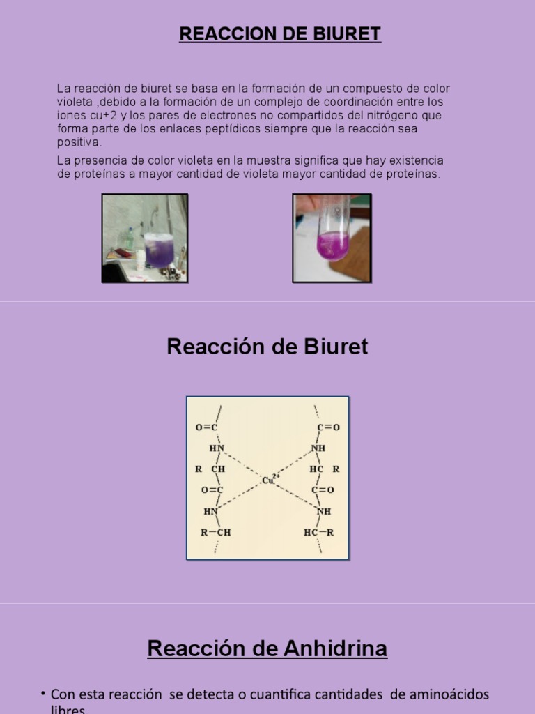 Reaccion de Biuret | PDF