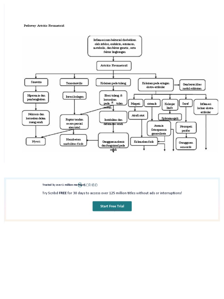 PDF Pathway Artritis Reumatoid | PDF