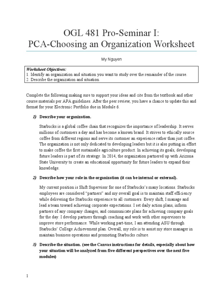 Ogl 481 Choosing An Org Worksheet | PDF | Starbucks | Leadership