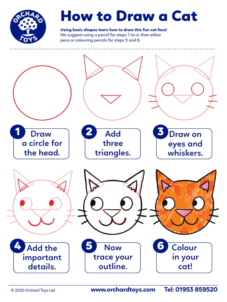 How To Draw A Cat Activity Sheet | PDF
