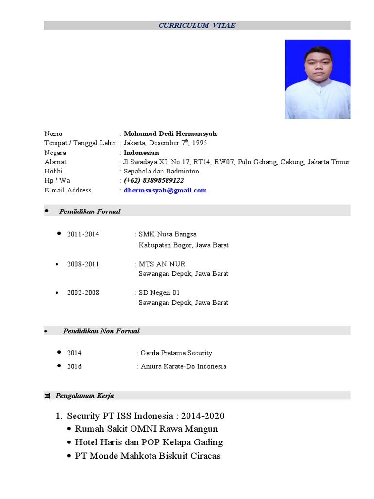 CV Dedi | PDF