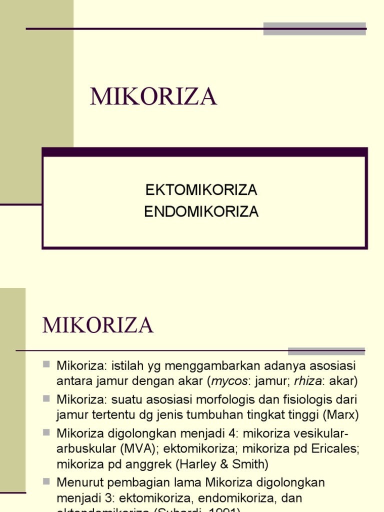 MIKORIZA | PDF | Griya & Taman | Sains & Matematika
