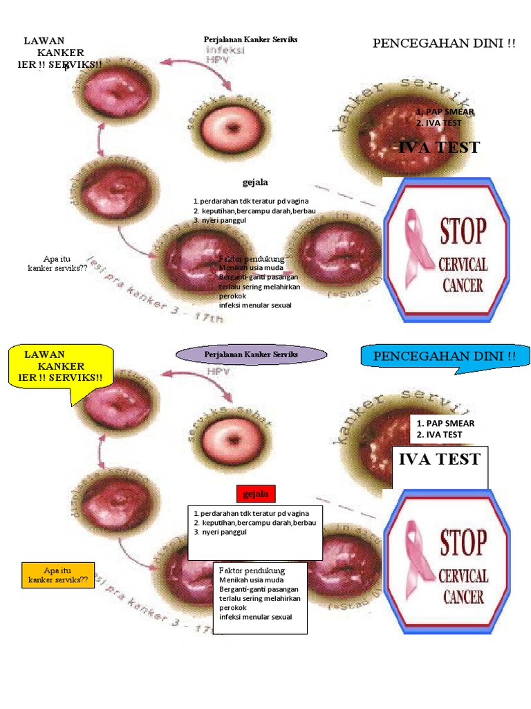 Leaflet Iva Test | PDF