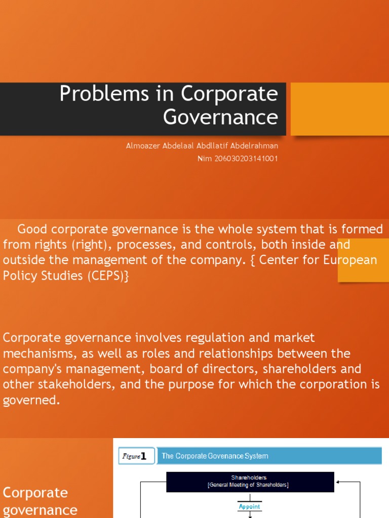 Issues in Corporate Governance | PDF | Governance | Corporate Governance