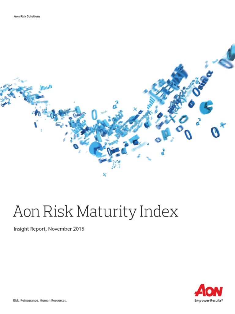 2015 Rmi Risk Maturity Index Report | PDF | Vix | Risk