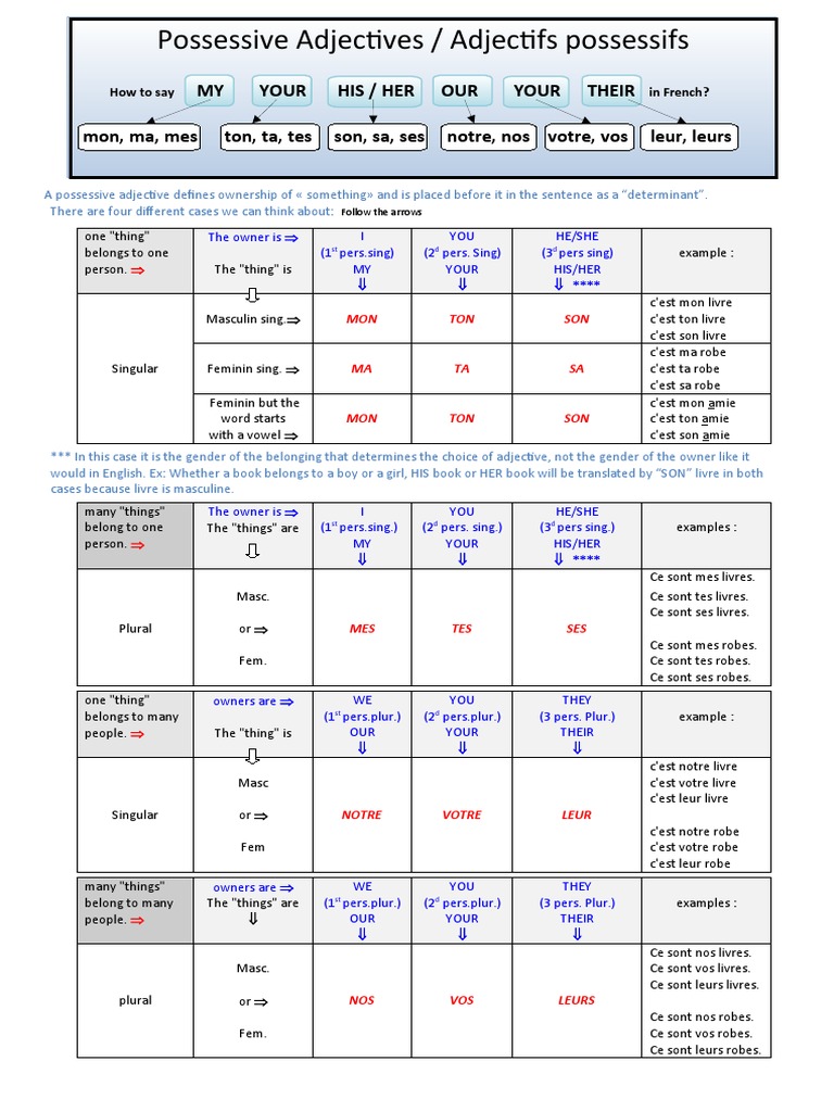 French Possessive Adjectives Guide | PDF | Grammatical Gender ...