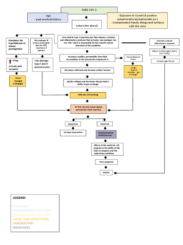 Path | PDF | Biology | Epidemiology