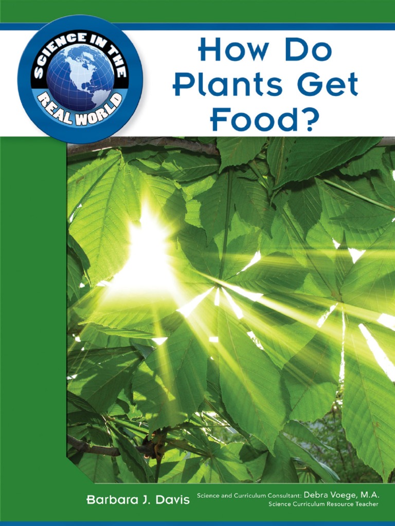 How Do Plants Get Food | PDF | Leaf | Plants