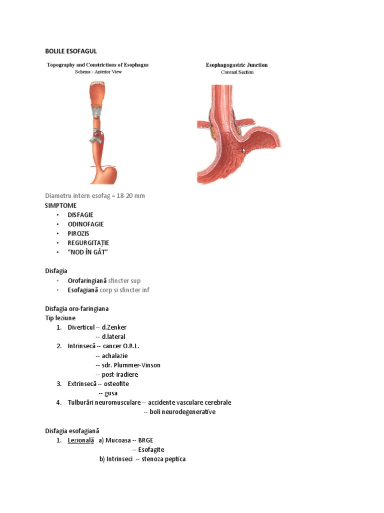 Bolile Esofagul | PDF | Esophagus | Digestive Diseases