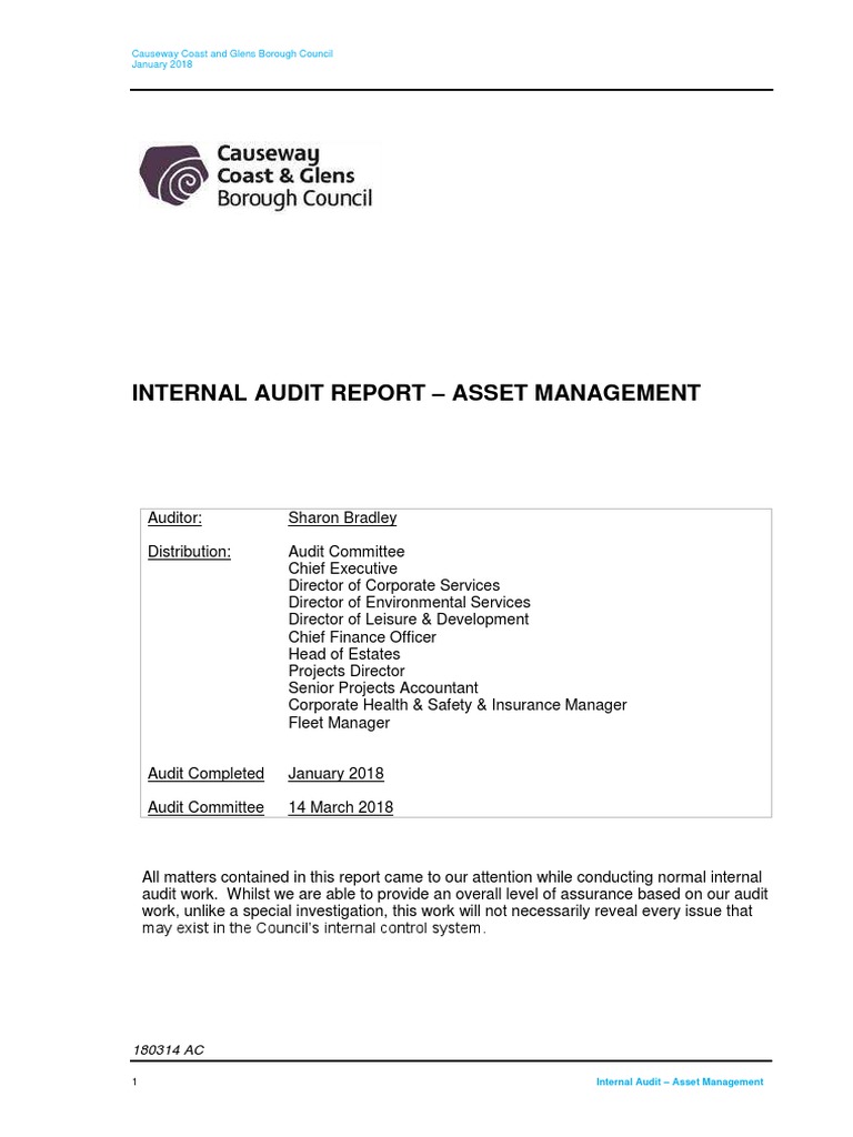 Internal Audit Report on Asset Management | PDF | Internal Audit | Audit