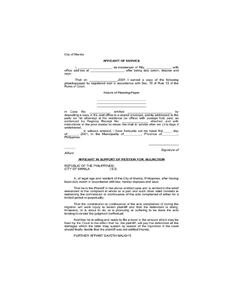 Affidavit in Support of Injunction | PDF