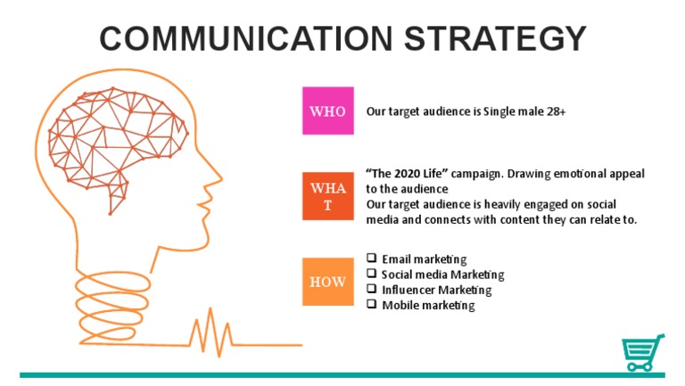 Communication Strategy: Our Target Audience Is Single Male 28+ | PDF
