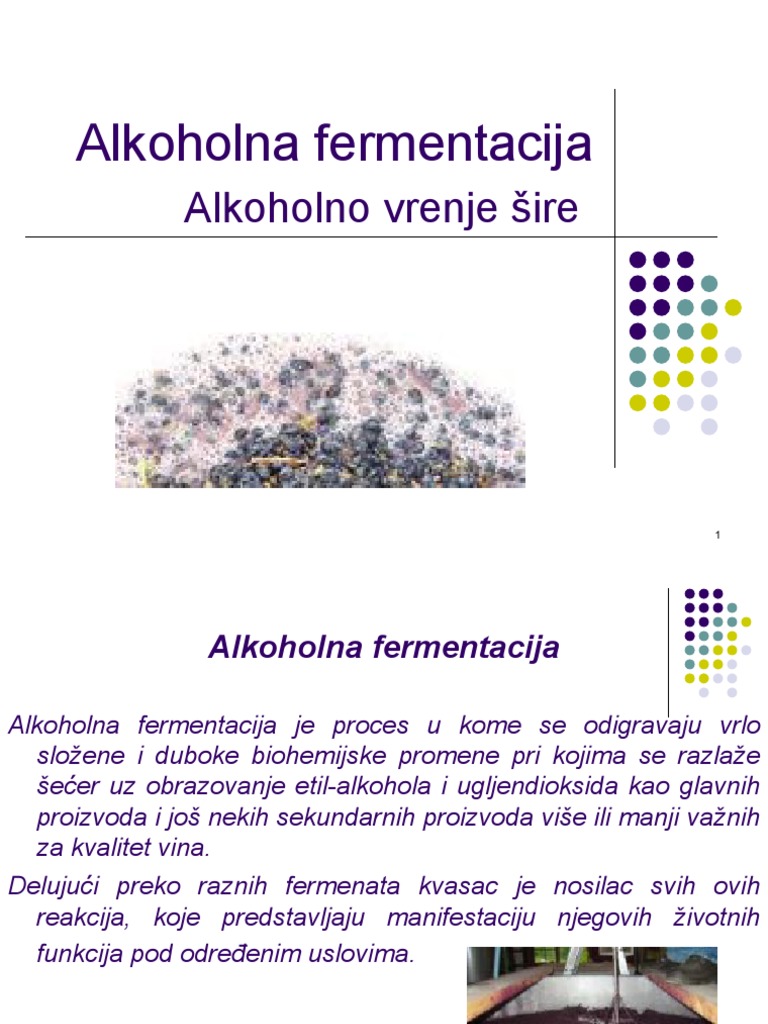 Alkoholna Fermentacija | PDF