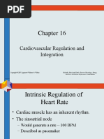 Bruce and Naughton Protocol | PDF | Physical Exercise | Cardiology