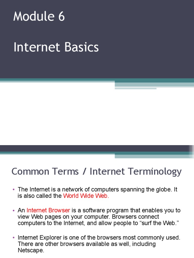 Lecture 10 Internet Basics | PDF | World Wide Web | Internet & Web