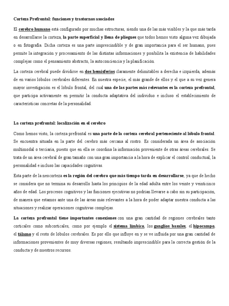 Corteza Prefrontal | PDF | Corteza prefrontal | Funciones ejecutivas