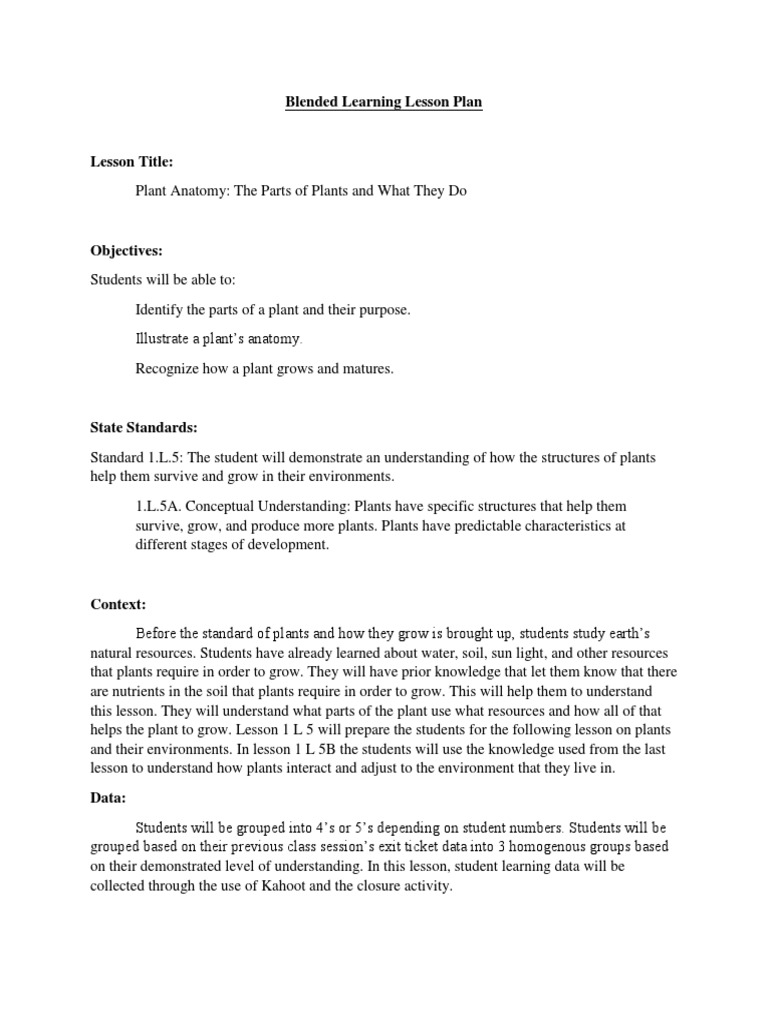 Blended Learning Lesson Plan | PDF
