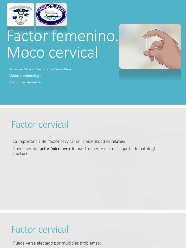 Moco Cervical | PDF | Ciclo menstrual | Vagina
