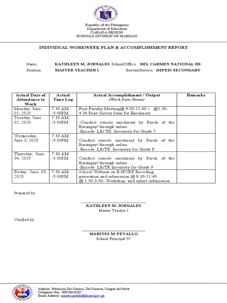 Individual Workweek Plan & Accomplishment Report | PDF | Behavior ...
