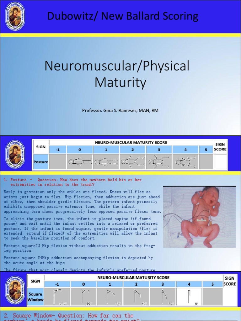 Neuromuscular and Physical Maturity | Download Free PDF | Anatomical ...