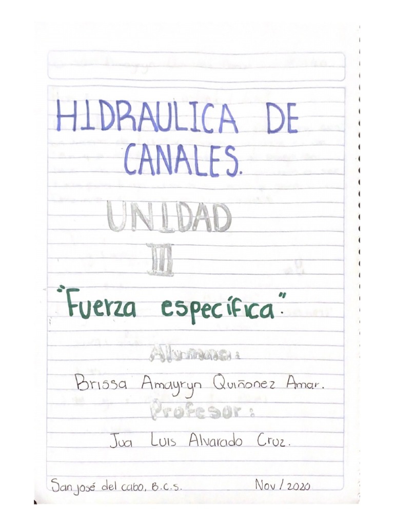 Unidad 3 Fuerza Especifica | PDF