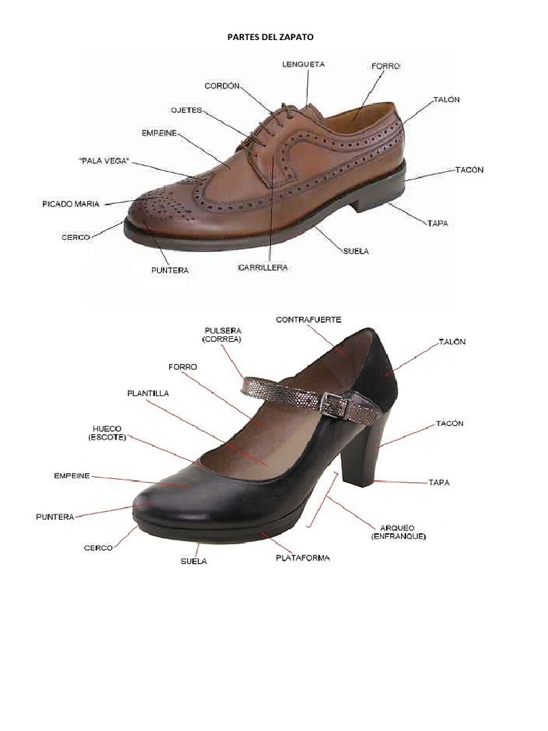 Partes Del Zapato | PDF