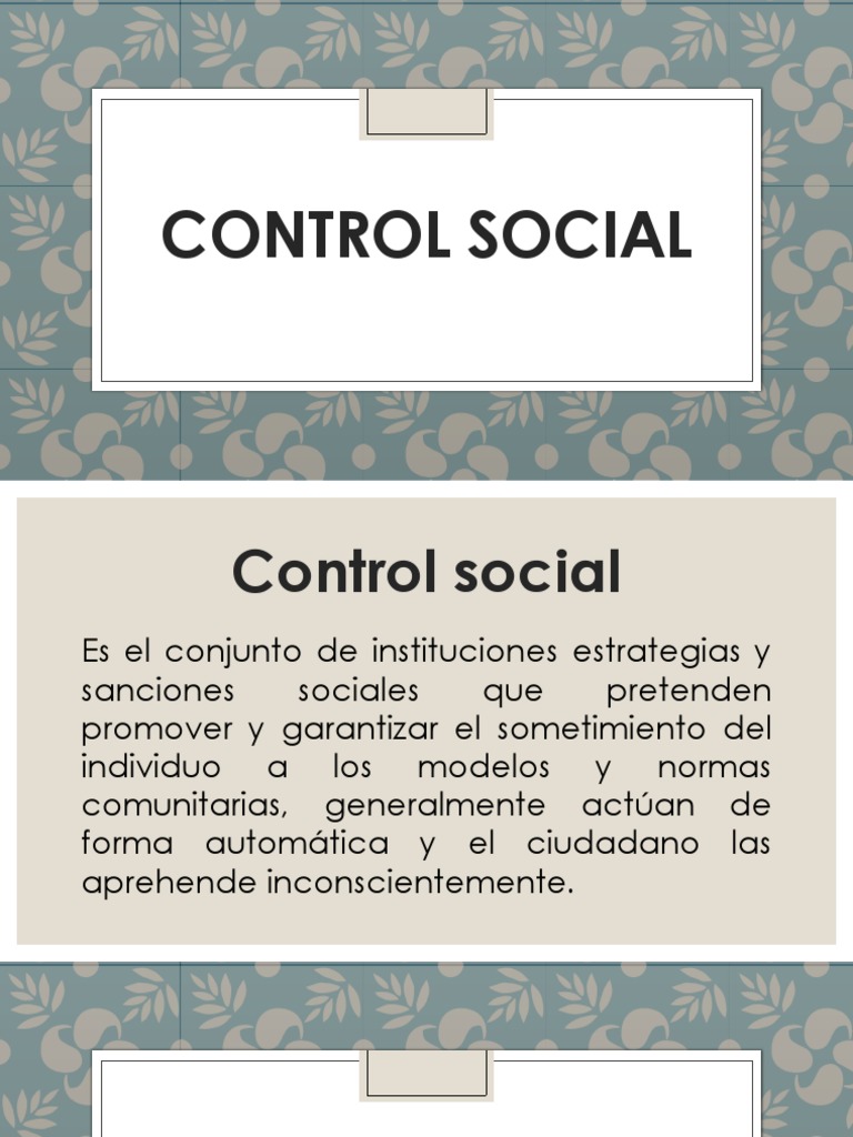 Efectividad de Control Penal Social PDF | PDF