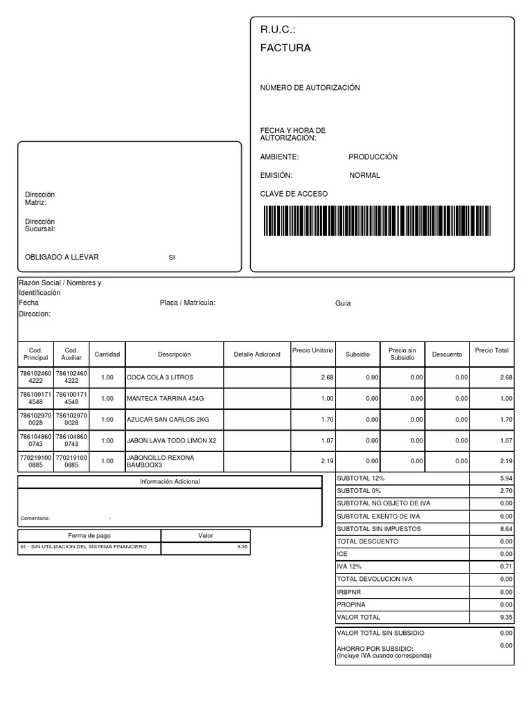 Ejemplo de Factura Electrónica PDF | PDF | Factura | Servicios (economía)