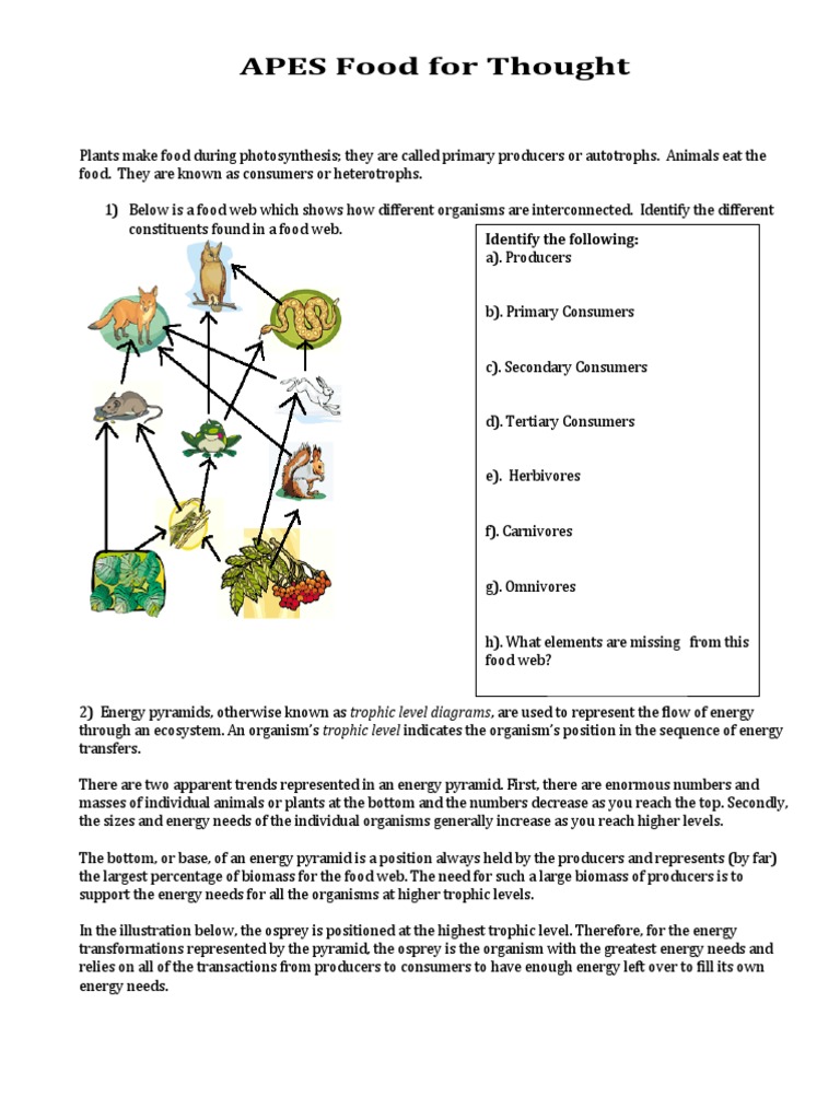 APES Food For Thought Modified 2014 | PDF | Food Web | Primary Production
