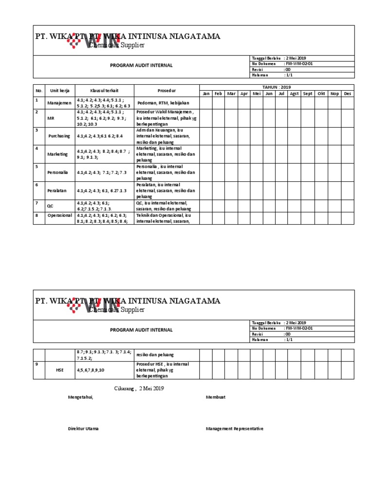 1-Program Audit Internal | PDF