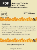 UNIT - 1 Apiculture Project 2 | PDF | Honey Bee | Beekeeping