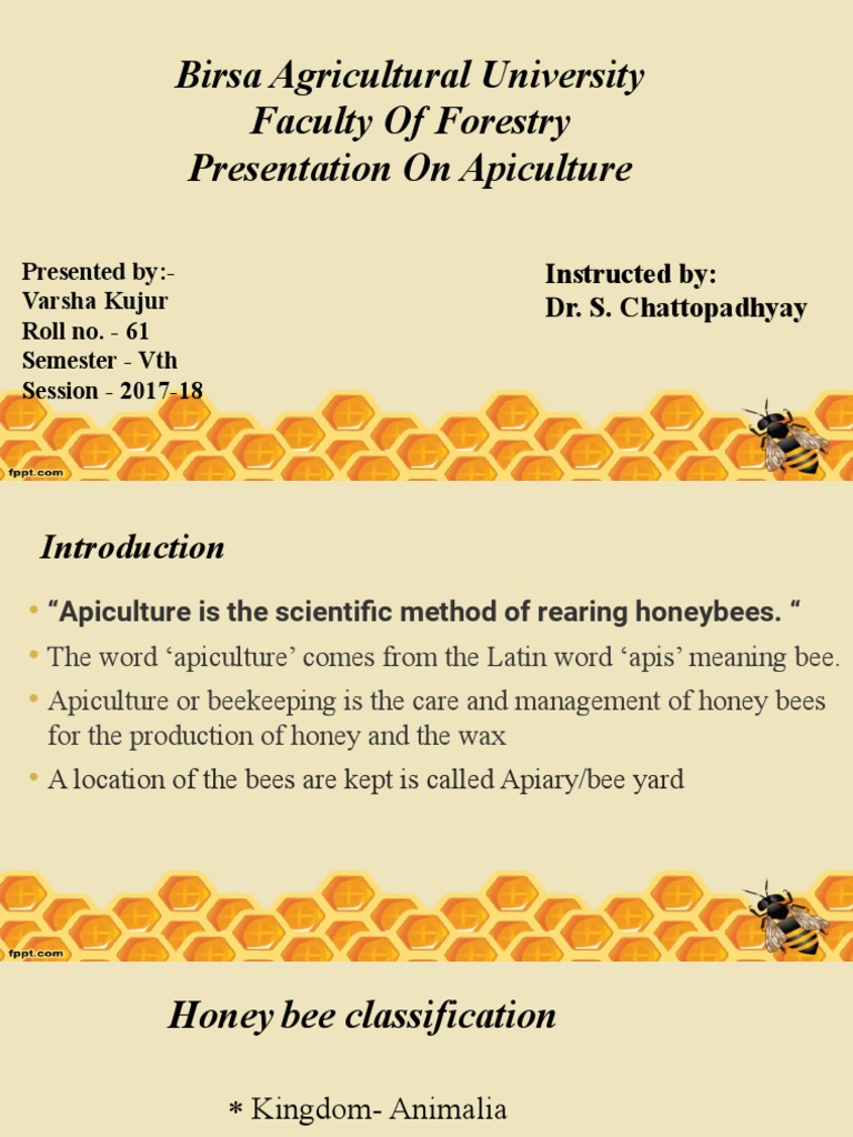Beekeeping Presentation on Honey Production and Apiculture | PDF | Honey Bee | Beehive