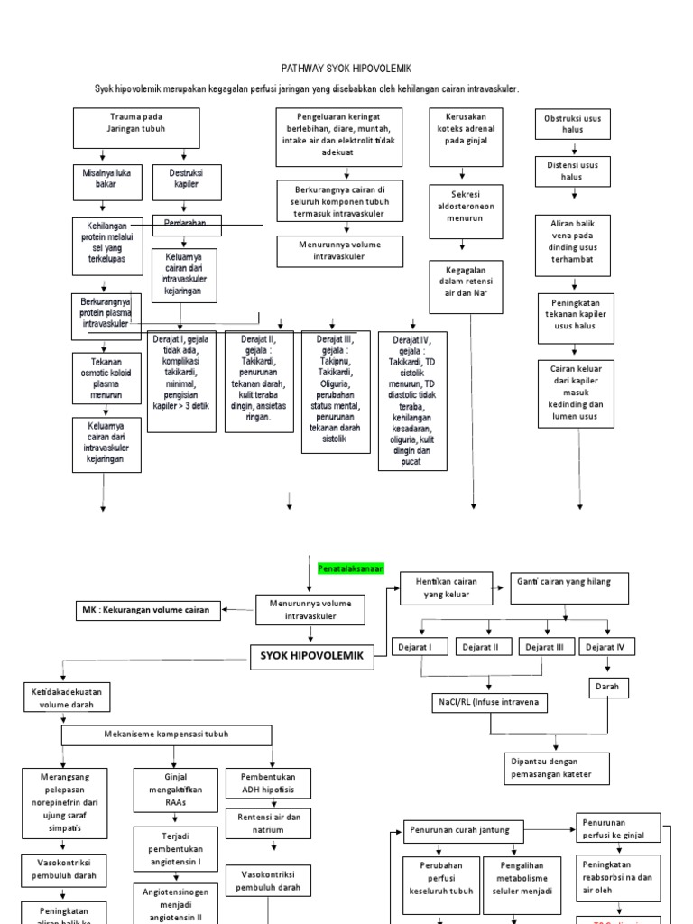 PATHWAY SYOK HIPOVOLEMI Servianus | PDF