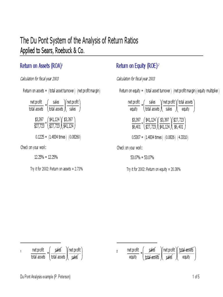 Analyzing The Return On Assets: The Du Pont System – MNPUN