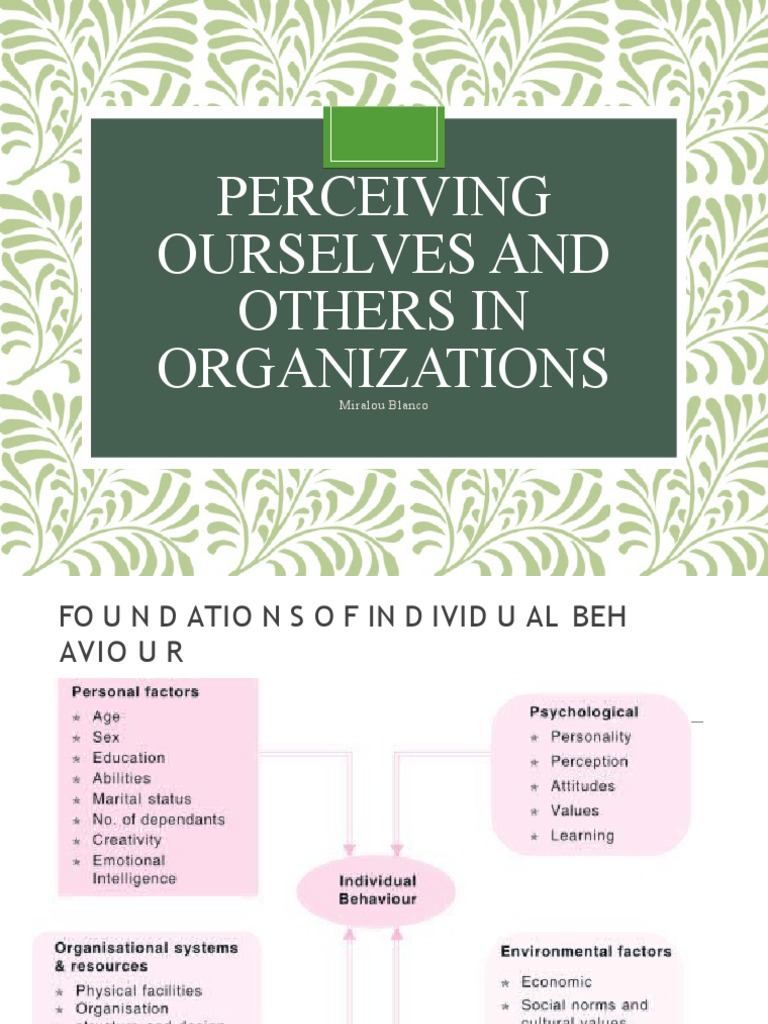 Perceiving Ourselves and Others in Organization | PDF | Perception ...