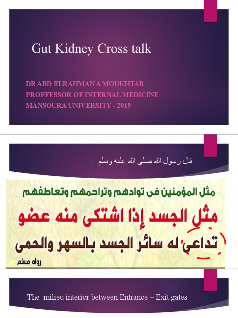 Gut-Kidney Crosstalk Mechanisms Explained | PDF | Gastrointestinal ...